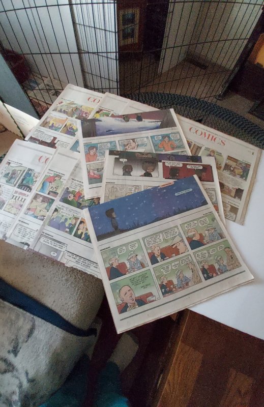 Lot of 10-count Newspapers 2002 Comics Pages (390 Total Different ...