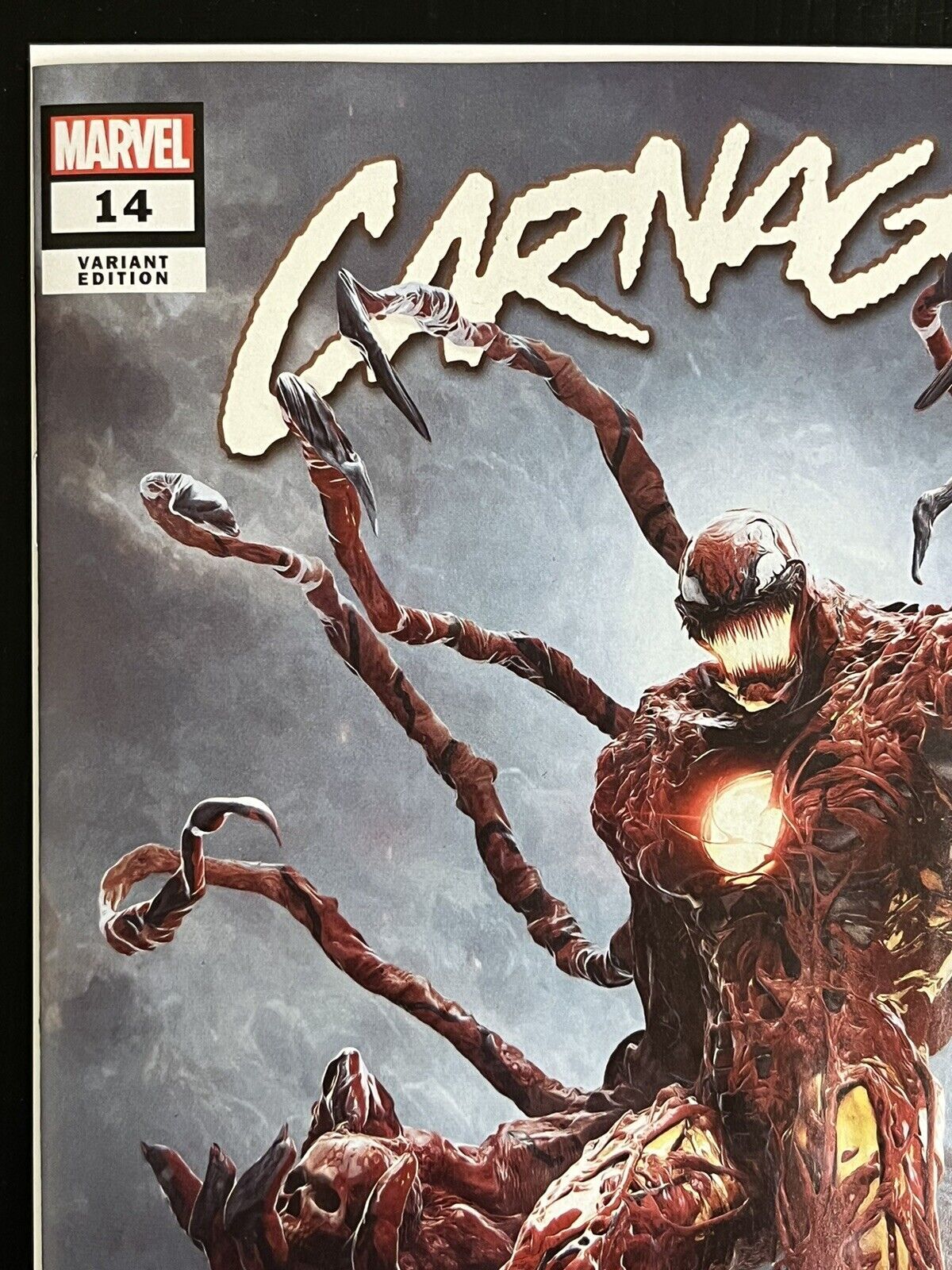 Carnage #14 CVR a + 1:25 Barends SET of 2 2023 Marvel In-Hand ...