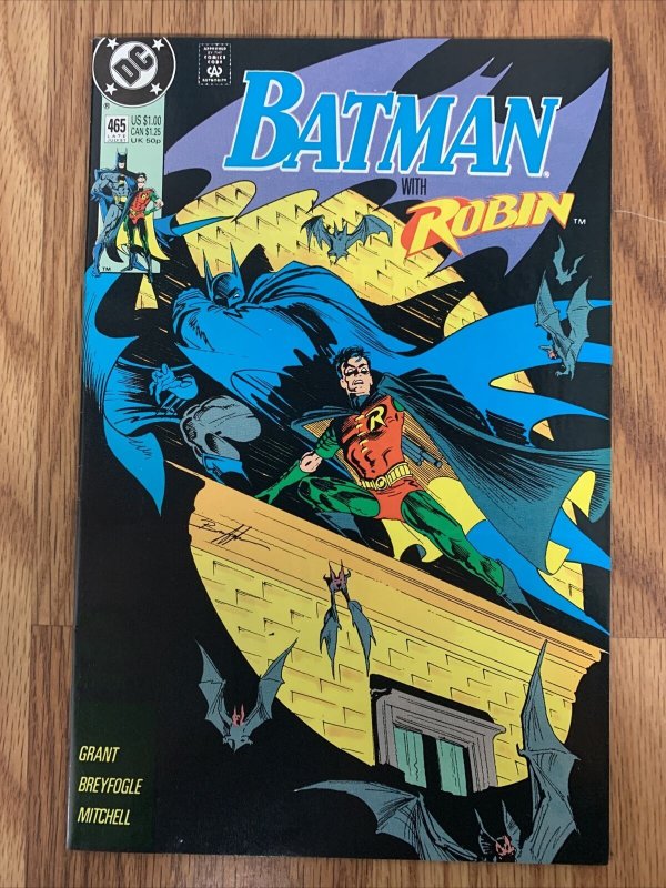 Batman And Robin Comic Art