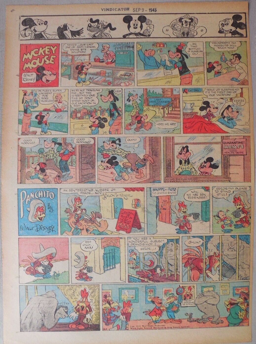 Mickey Mouse Sunday Page by Walt Disney from 9/9/1945 Tabloid Page Size ...