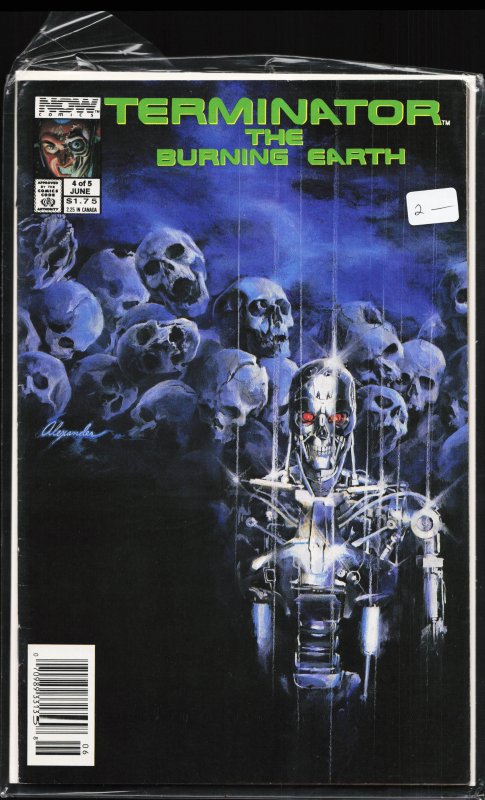 The Terminator: The Burning Earth #4 (1990) The Terminator | Comic ...