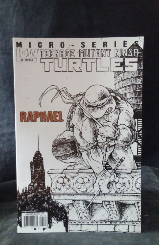 Teenage Mutant Ninja Turtles Micro-Series #1 Cover RI-A 2011 idw Comic ...