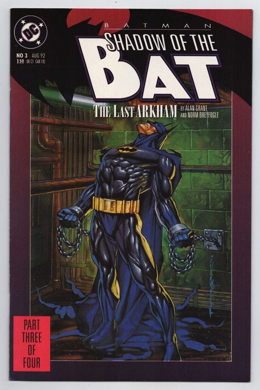 Batman Shadow Of The Bat #3 Nightwing | 1st App Amygdala (DC, 1992) NM ...