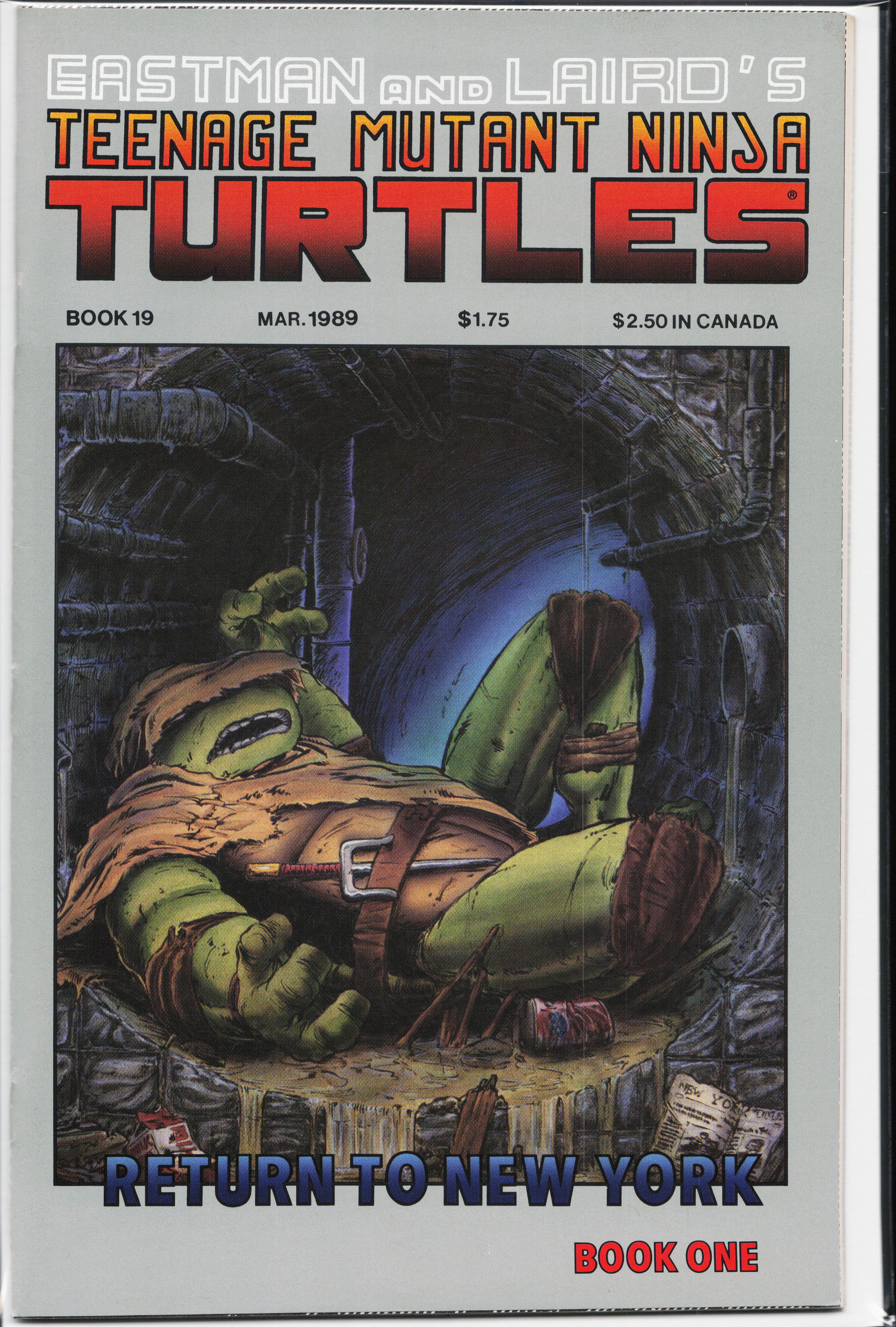 Teenage Mutant Ninja Turtles #20 (1989) Teenage Mutant Ninja Turtles ...