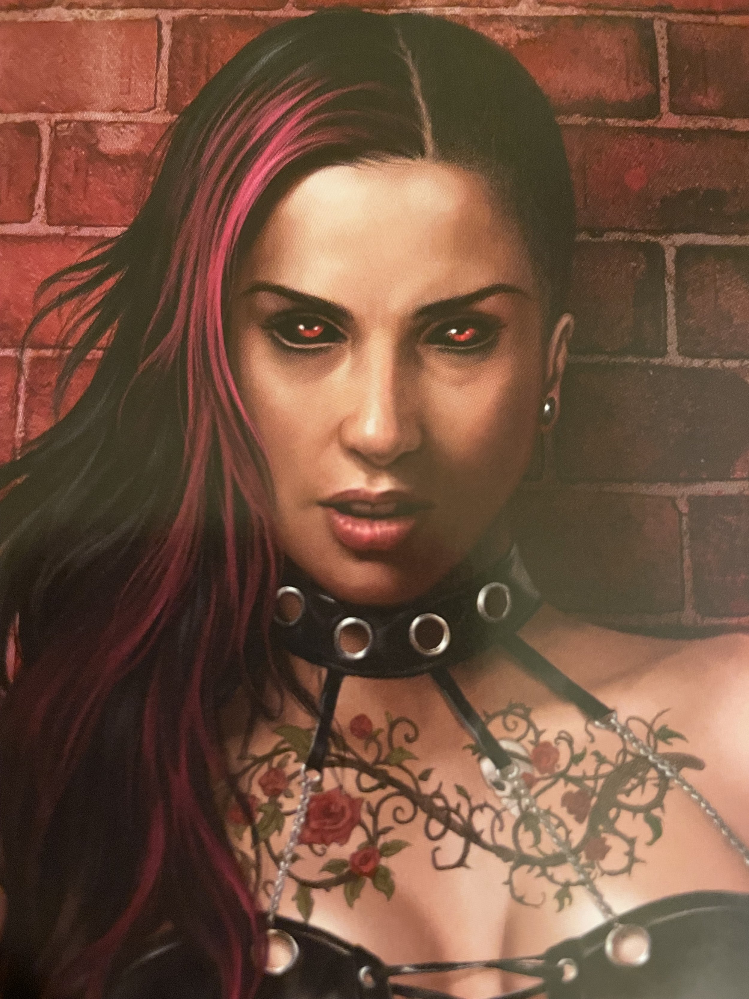 Zenescope #1 Carla Cohen Lingerie Exclusive Collectible Cover LTD 99 NM+ | Comic Books - Modern ...