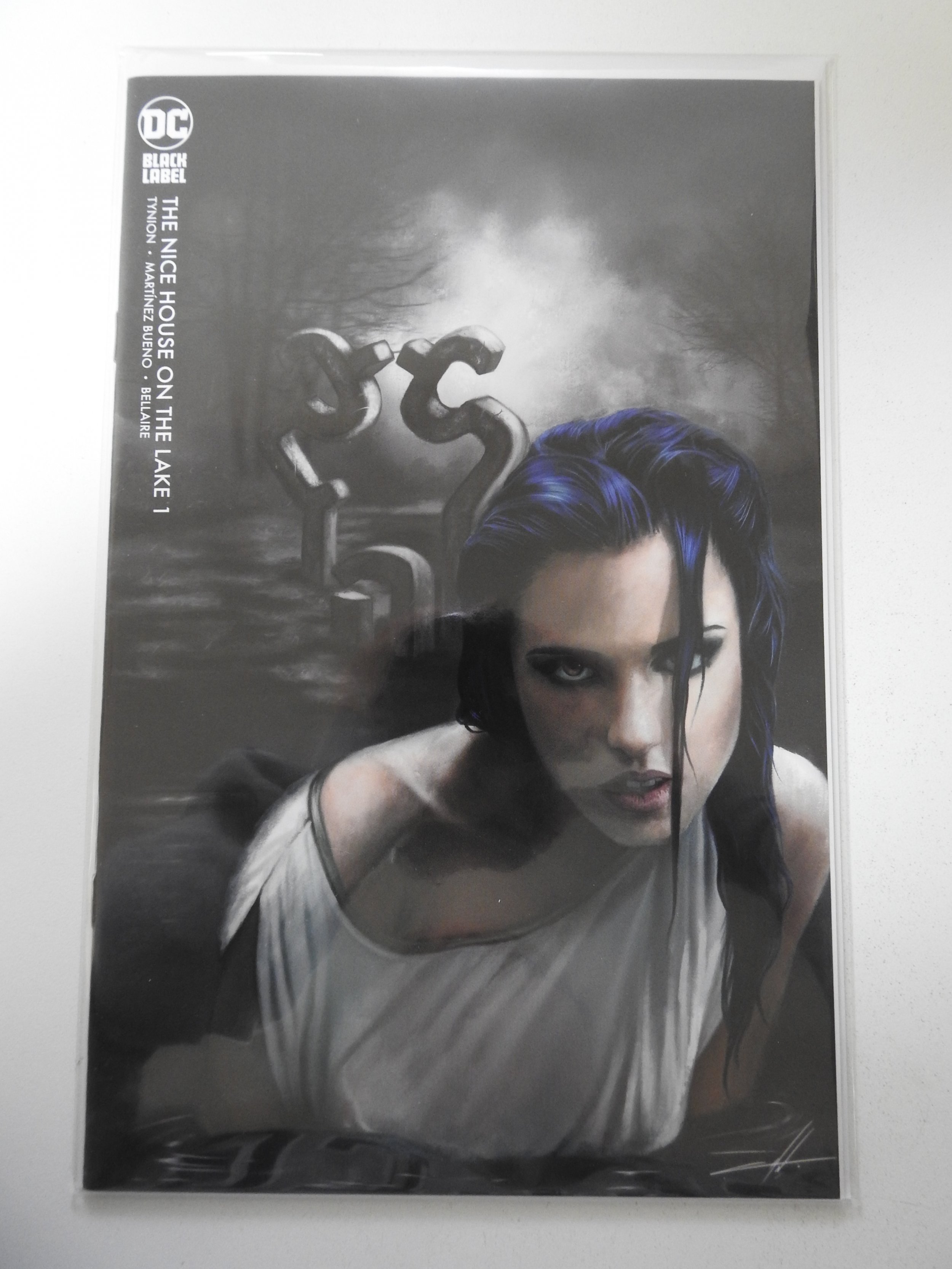 The Nice House on the Lake #1 Comic Kingdom of Canada Carla Cohen Cover ...