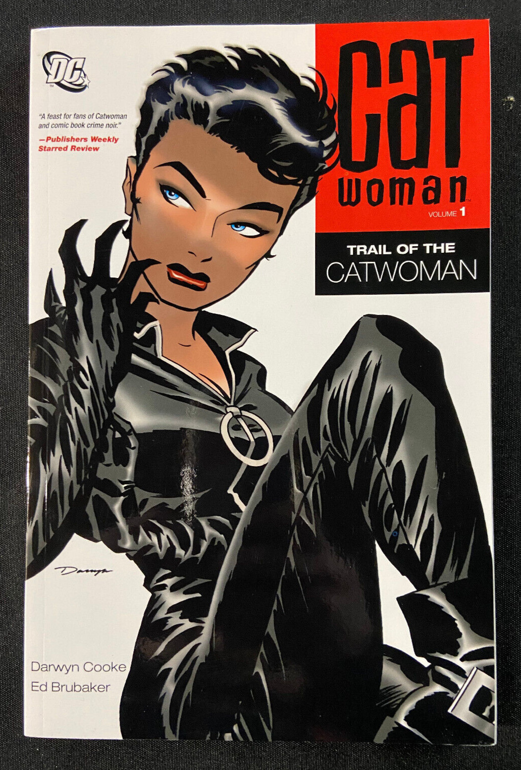 Catwoman TPB VOL. 1 Trail of the Catwoman Darwyn Cooke VF/NM | Comic ...