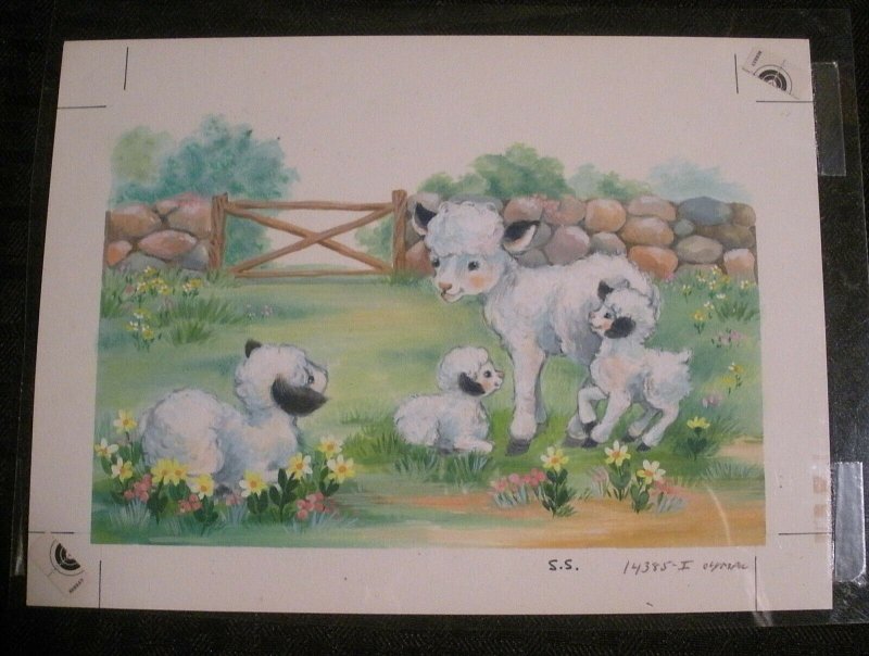 FOUR CUTE WHITE SHEEP w/ Stone Wall 8x6" Greeting Card Art #14385 ...