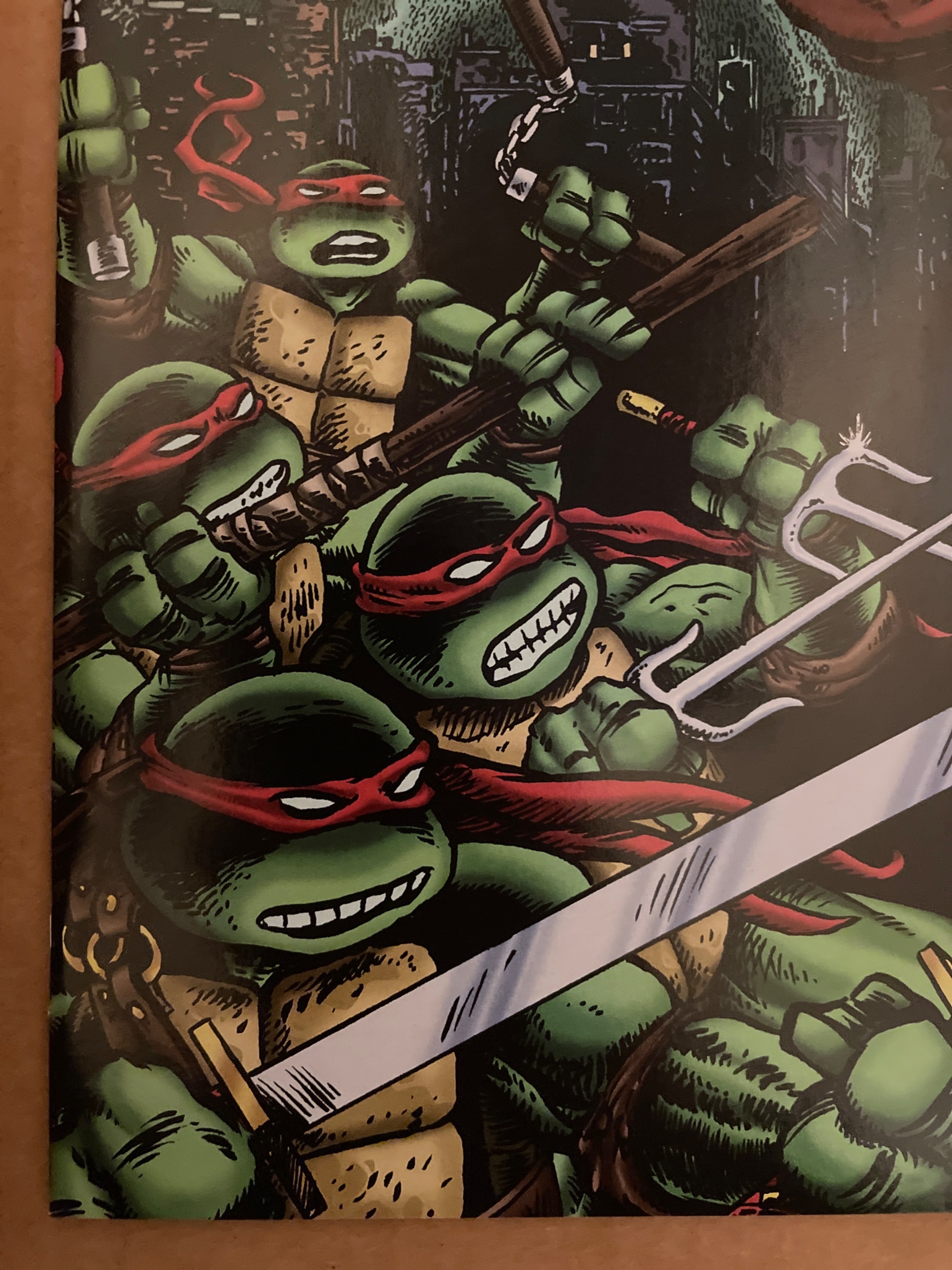 Teenage Mutant Ninja Turtles #35 NM/NM+ Very HTF RI Variant | Comic ...