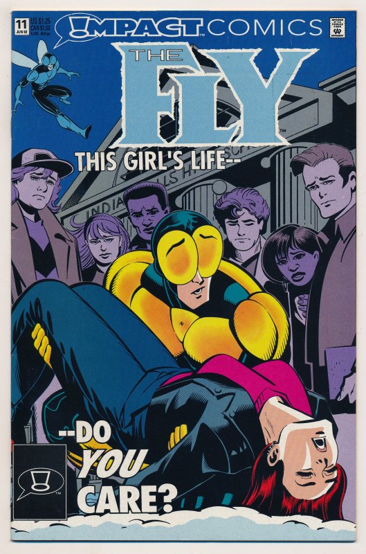Fly (1991 Impact/DC) #1-17 VF-/NM Complete series / HipComic