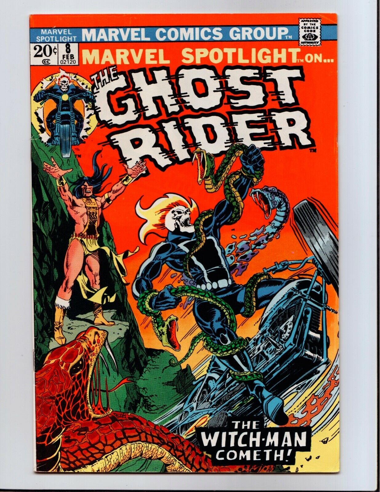 Ghost Rider 1 Trade Dress/Virgin Variant Set artwork by Lucio P ...