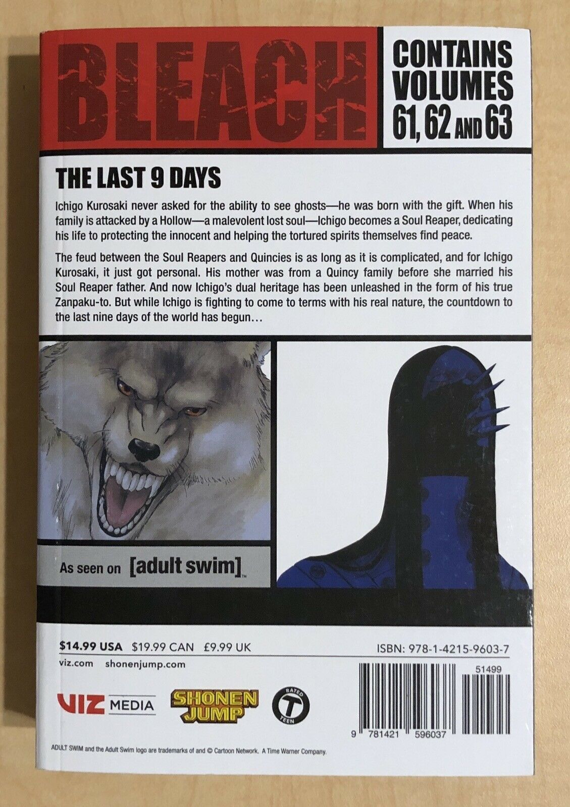 Bleach Manga Cover 63