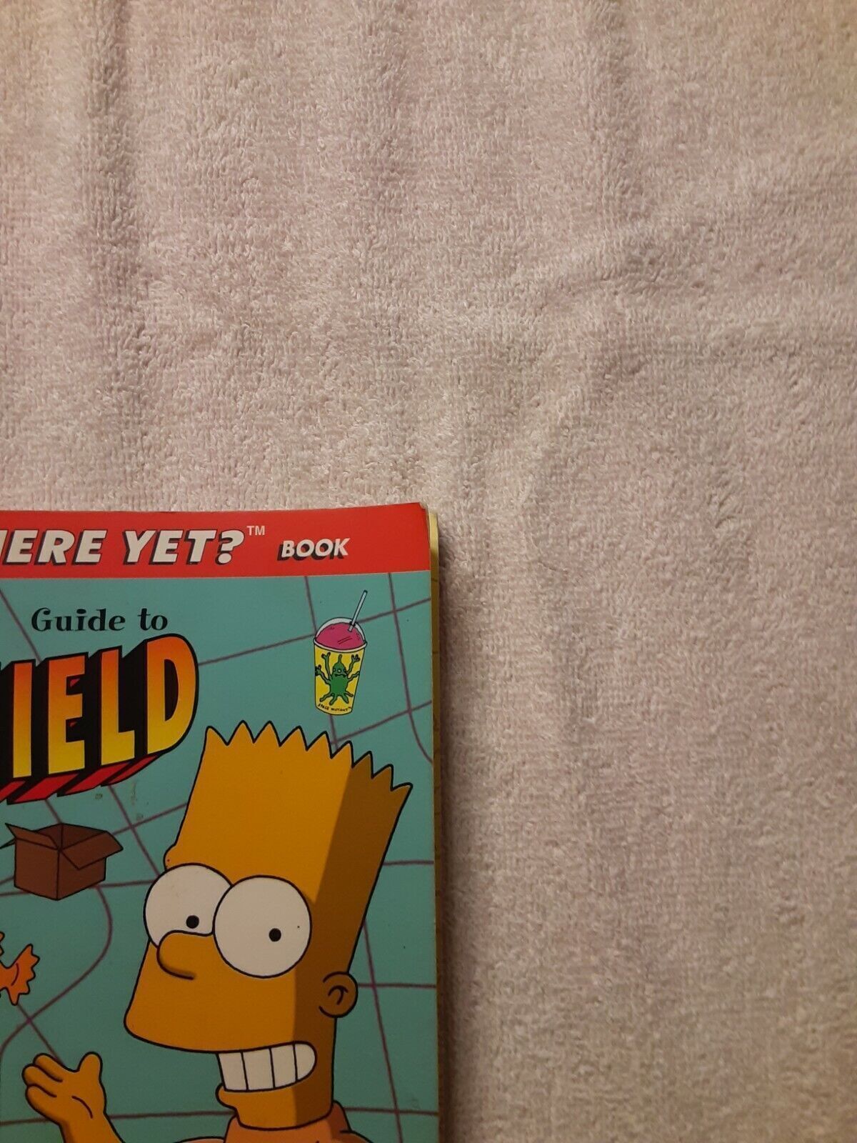 The Simpsons Guide to Springfield BY Matt Groening | Graphic Novels ...