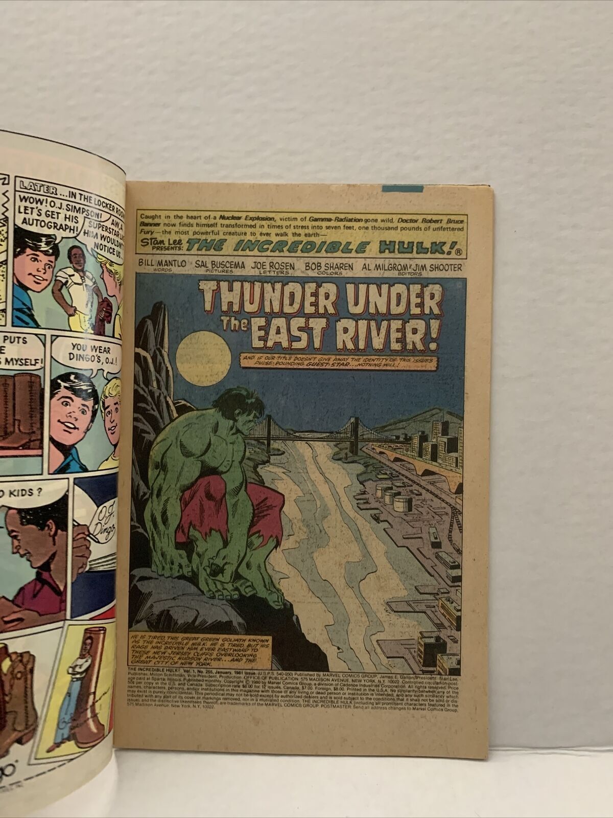 The Incredible Hulk #255 | Comic Books - Modern Age, Marvel, Incredible ...