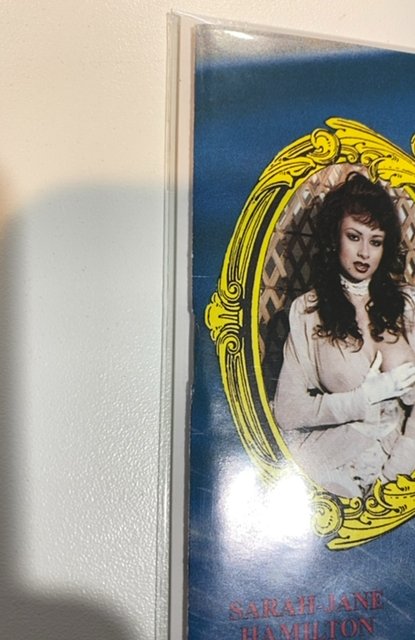 Sarah-Jane Hamilton #2 VF | Comic Books - Modern Age, Carnal Comics ...