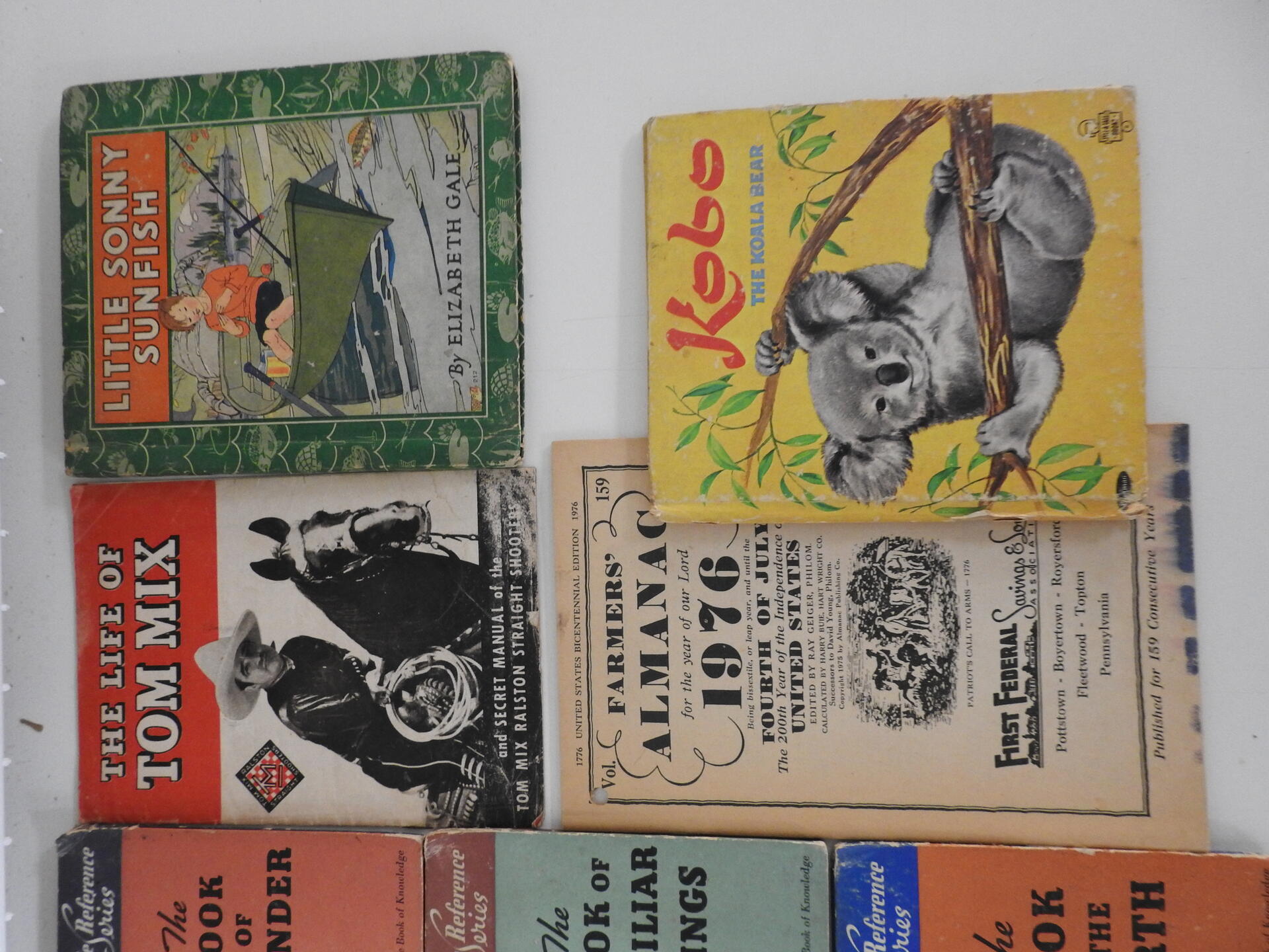 Misc Lot of Comic/Collectible Related Books/Pamphlets (16) Varying ...