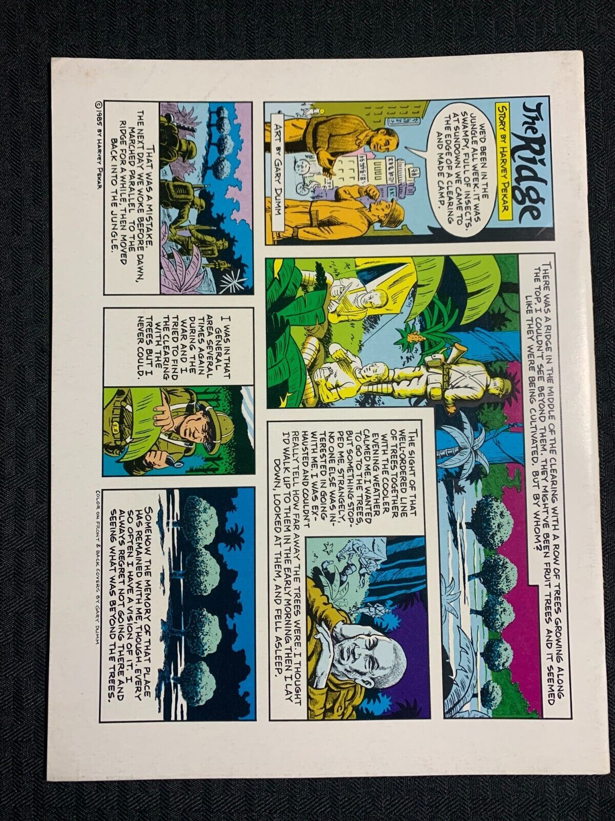 1985 AMERICAN SPLENDOR Magazine #10 FN+ 6.5 Harvey Pekar / Val Mayerick ...