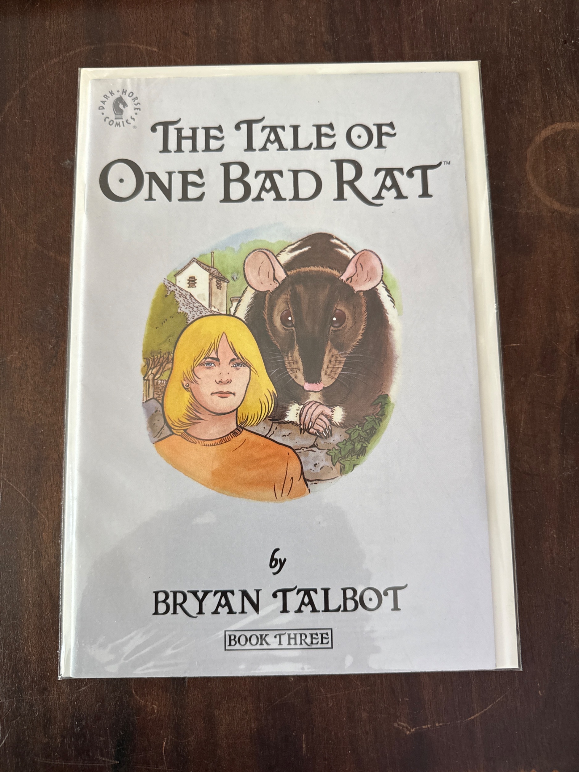 The Tale of One Bad Rat #2 (1994) | Comic Books - Modern Age / HipComic