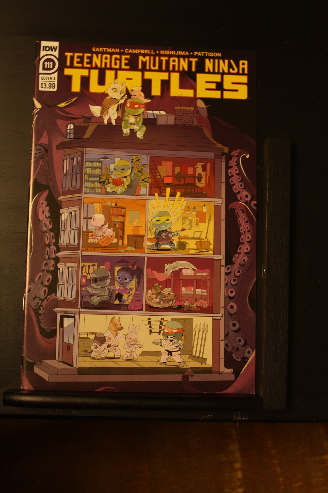 Teenage Mutant Ninja Turtles #111 (2020) Teenage Mutant Ninja Turtles ...