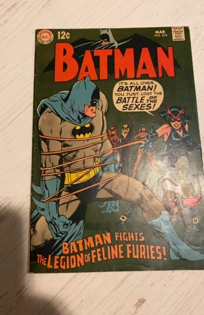 Batman #210 (1969)Legion of feline furies/ see description | Comic ...