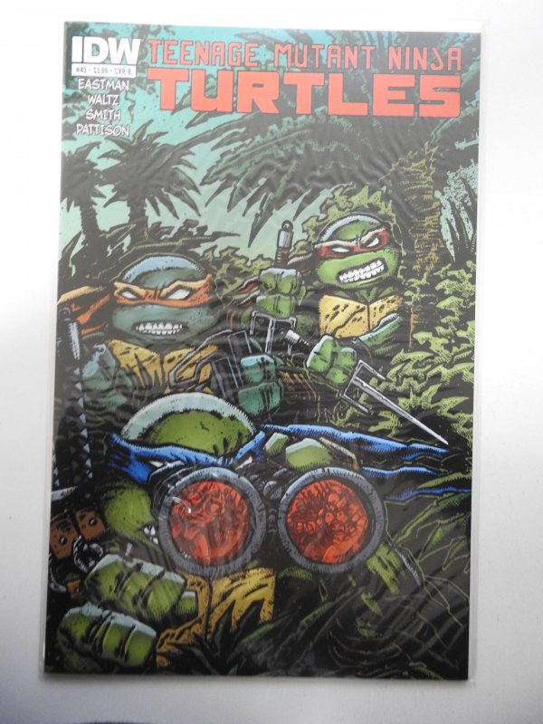 Teenage Mutant Ninja Turtles #43 Cover B | Comic Books - Modern Age ...