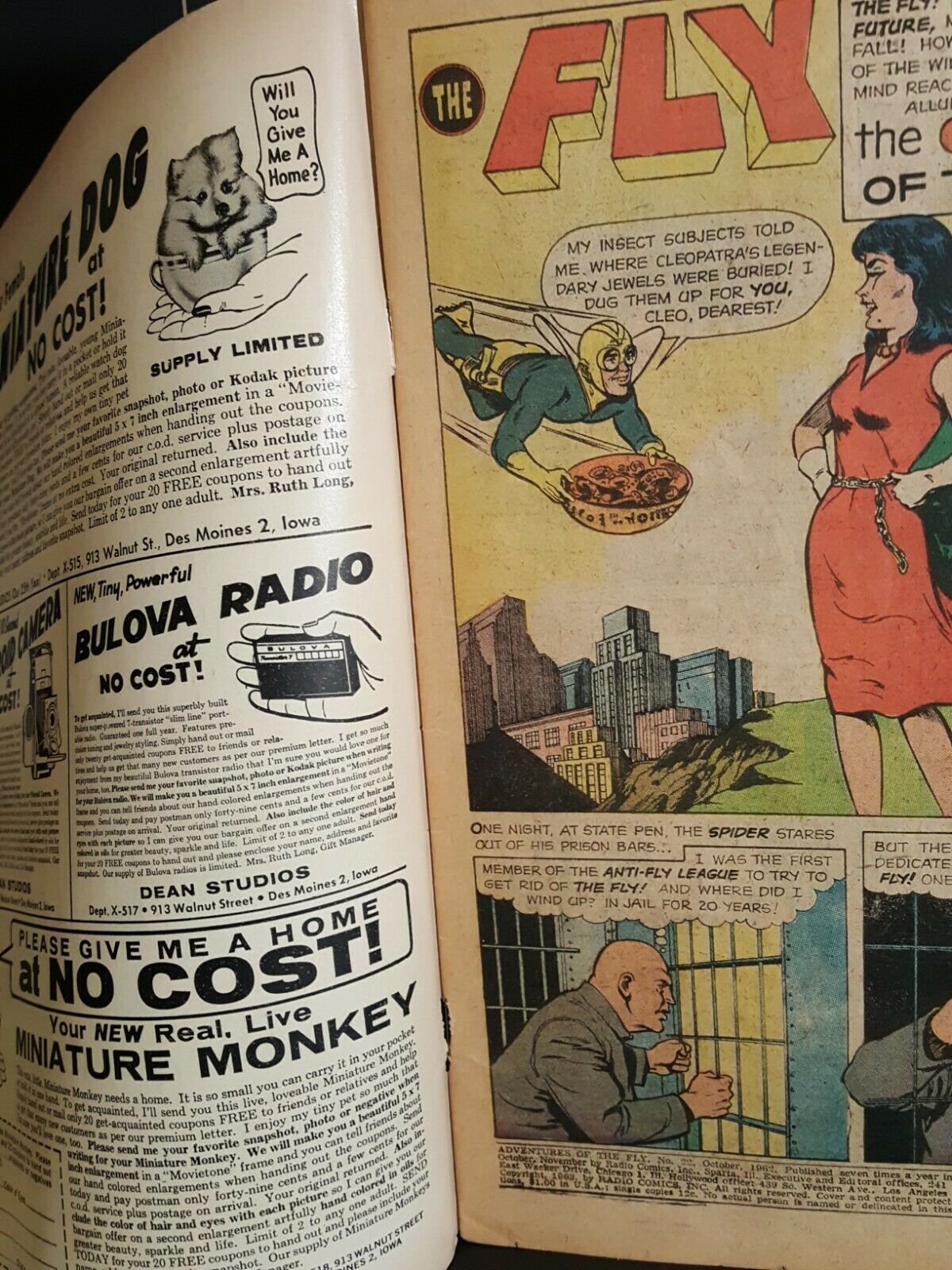 Adventures of the Fly 22 (1962) Fly Girl Archie Comic | Graphic Novels ...