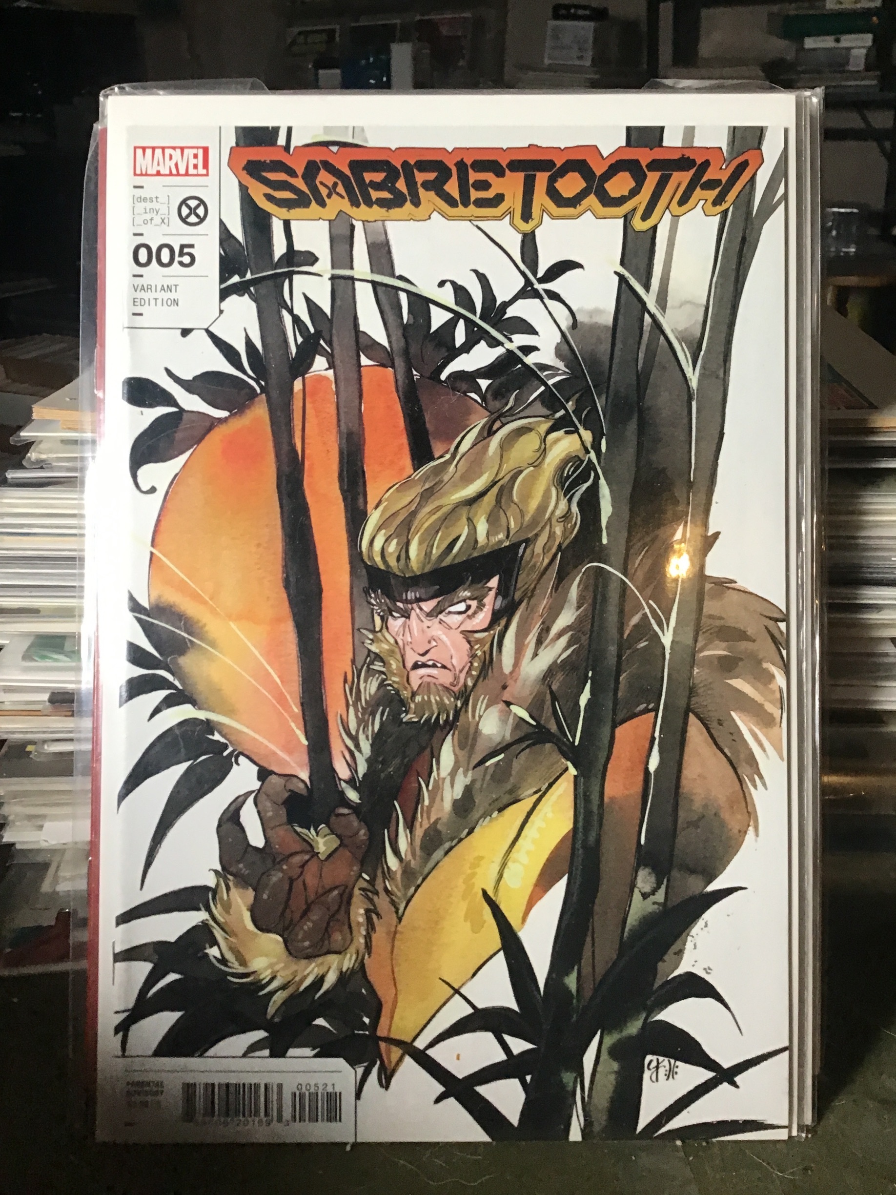 Sabretooth #5 Momoko Cover (2022) | Comic Books - Modern Age, Marvel ...