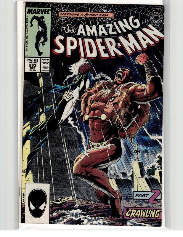 The Amazing Spider-Man #293 (1987) Spider-Man | Comic Books - Copper ...