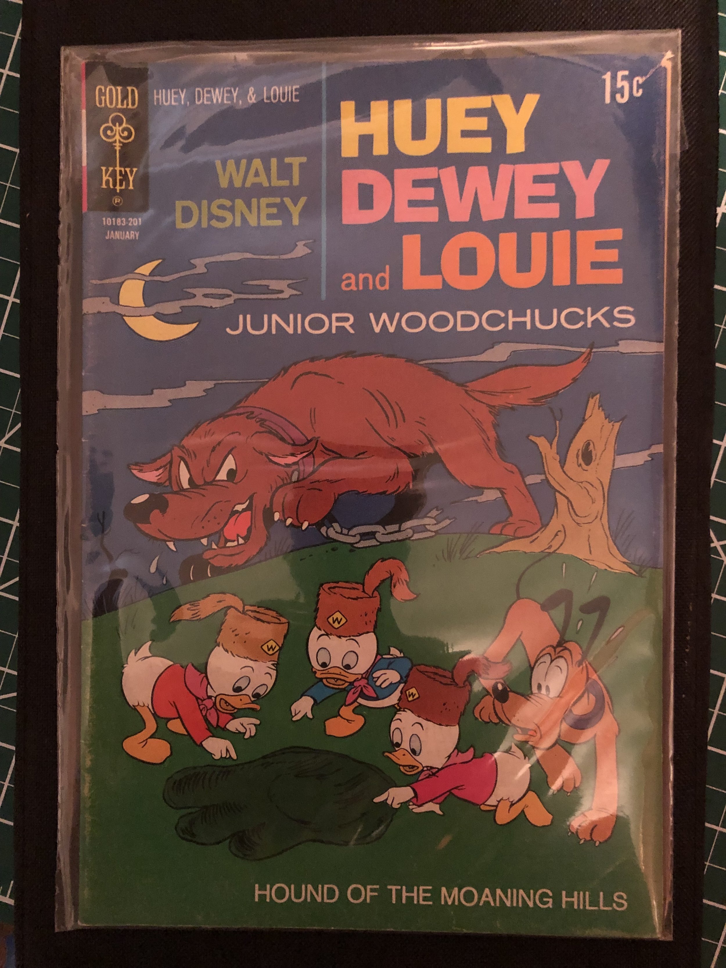 Huey, Dewey and Louie Junior Woodchucks #12 (1972) | Comic Books ...