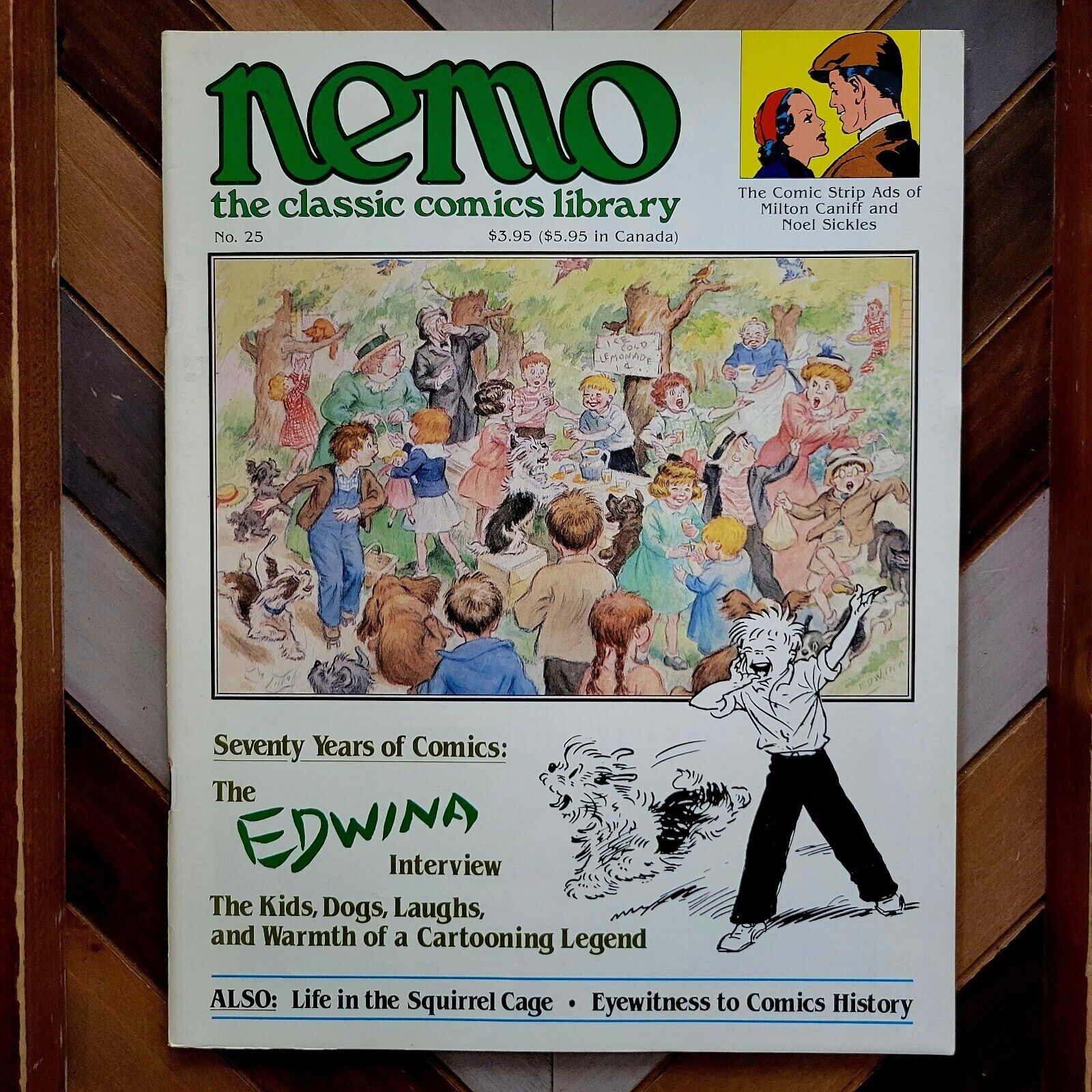 Nemo: Classic Comics Library #25 VF (Fantagraphics 1987) Milton Caniff ...