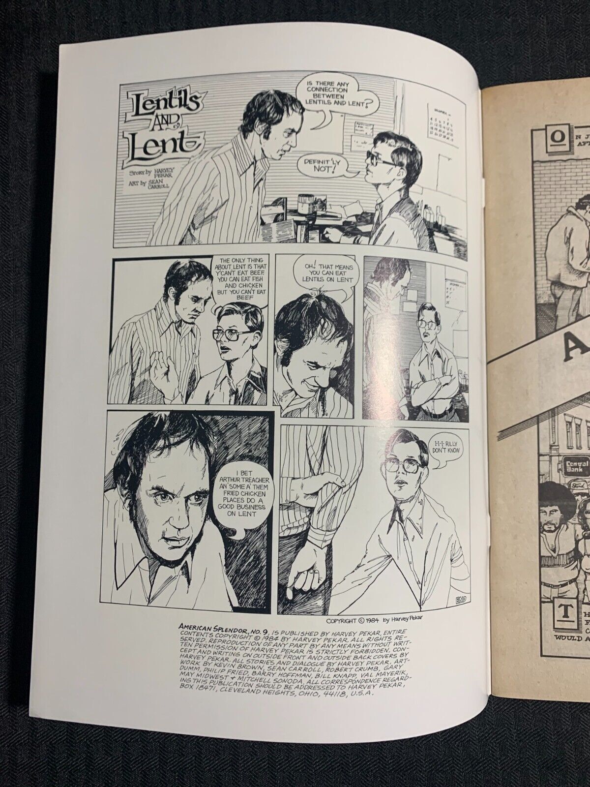 1984 AMERICAN SPLENDOR Magazine #9 FN+ 6.5 Harvey Pekar / R Crumb ...