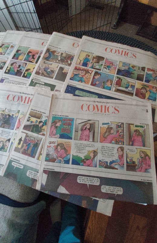 Lot of 10-count Newspapers 2002 Comics Pages (390 Total Different ...