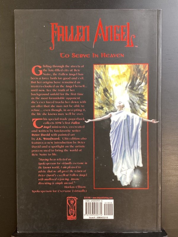 FALLEN ANGEL TO SERVE IN HEAVEN TPB Peter David Woodward - IDW ...