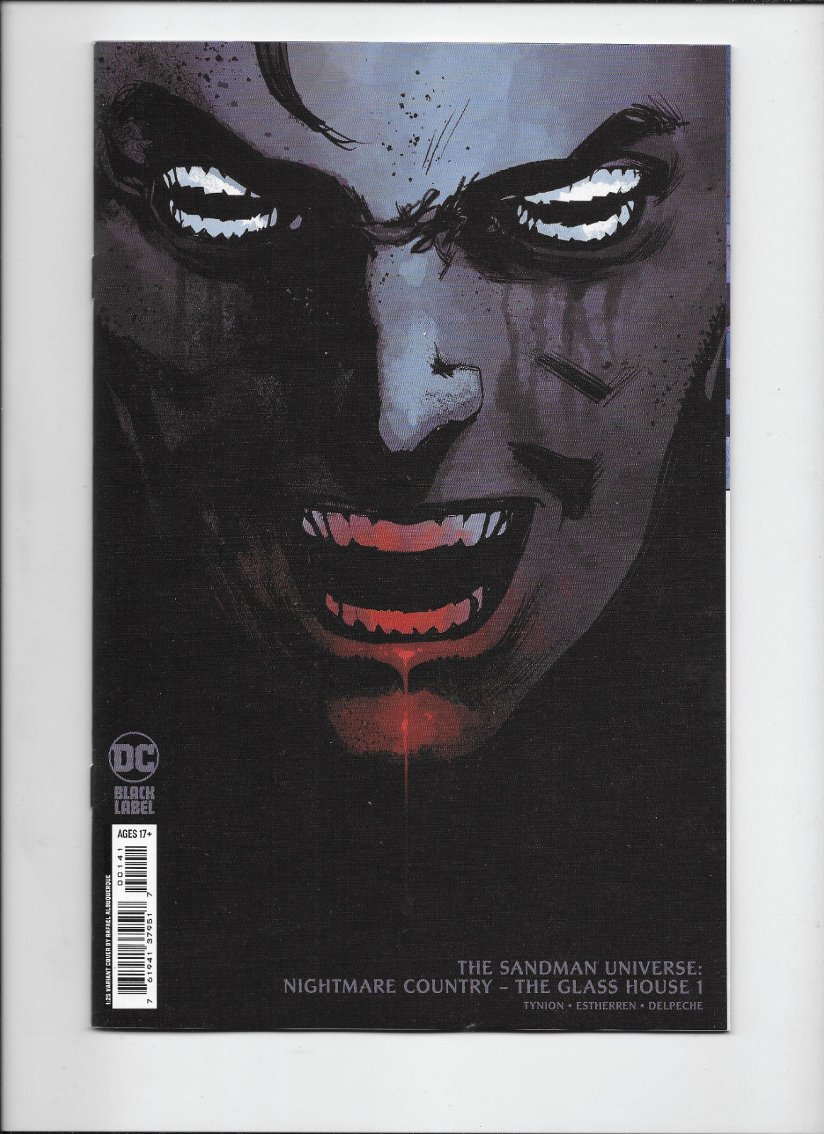 Sandman Nightmare Country The Glass House #1 1:25 DC Comics 2023 ...