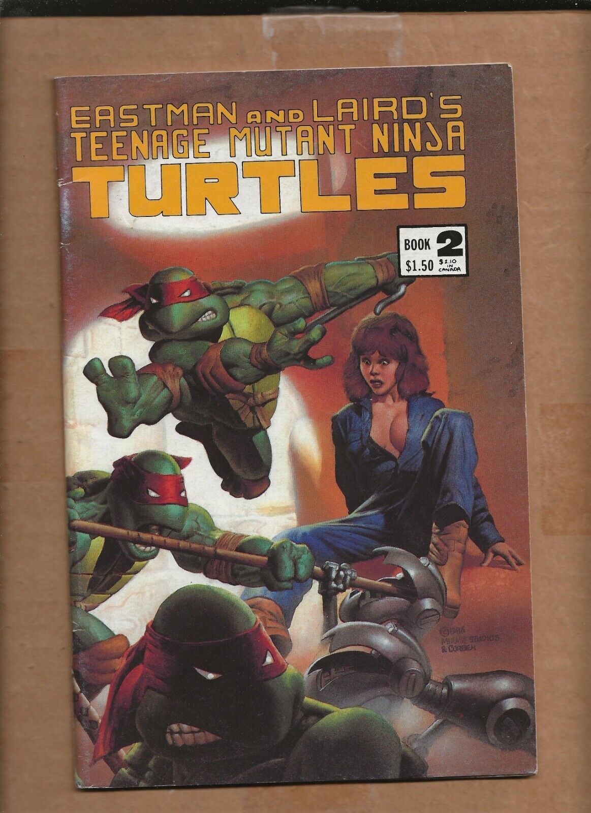 Teenage Mutant Ninja Turtles #2 3rd Printing Mirage Tmnt Eastman Laird ...