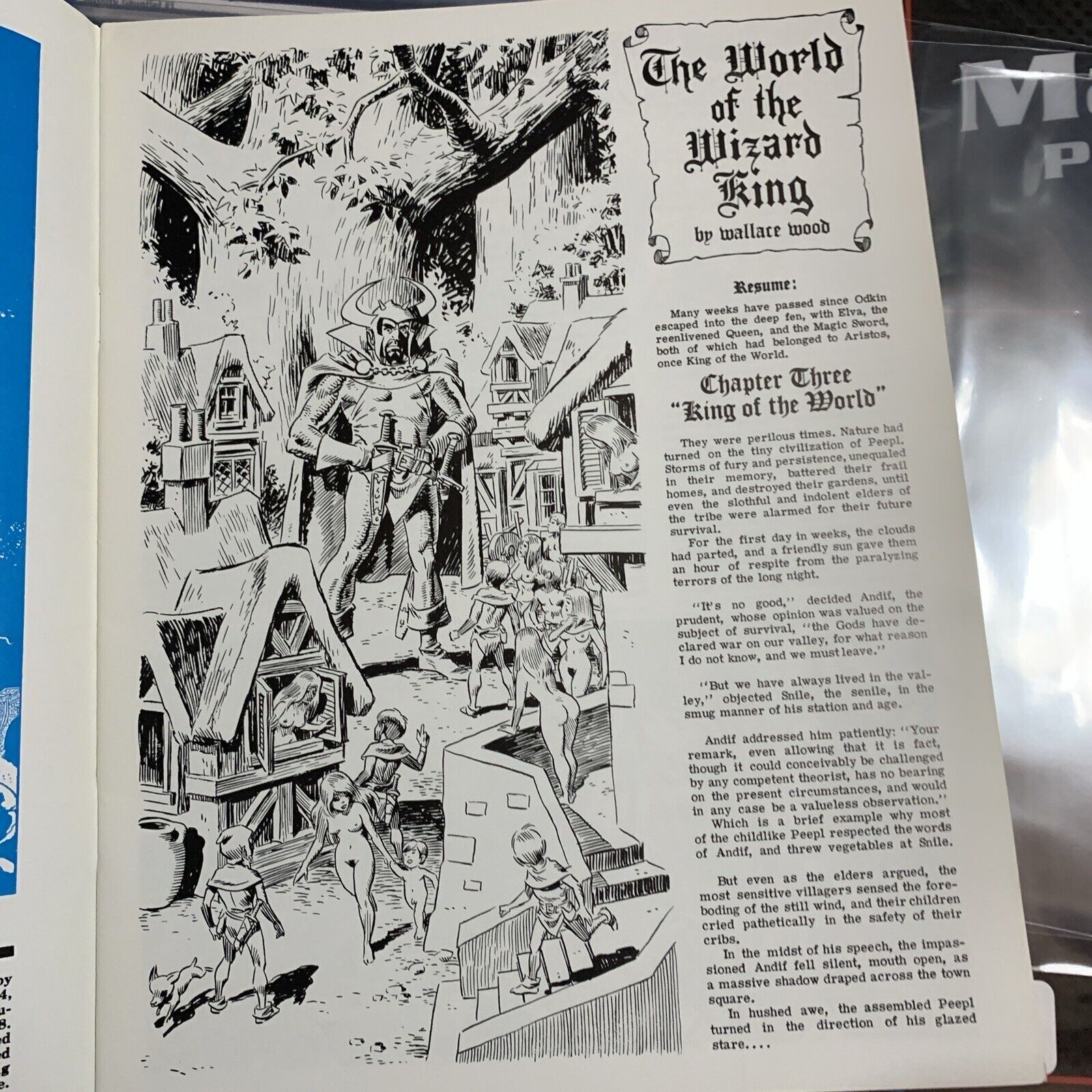 WITZEND 8 Magazine Adults Only FRAZETTA WRIGHTSON DITKO WALLY WOOD Dr ...