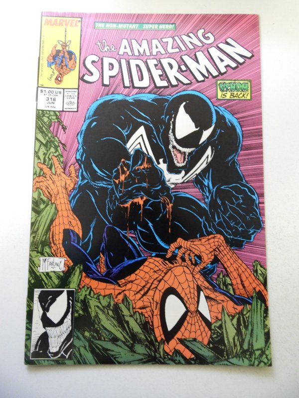 The Amazing Spider-Man #316 (1989) VF- Condition | Comic Books - Copper ...