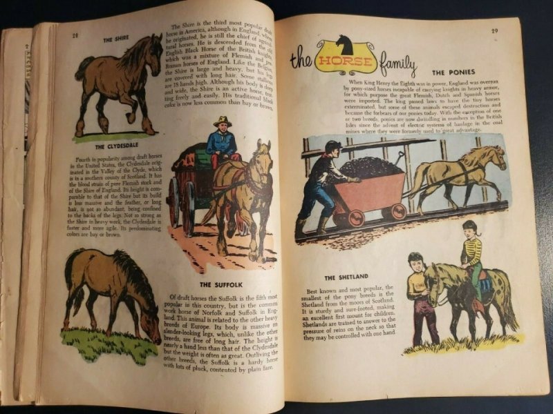 Dell Giant A Treasury of Horses #1 (1955) G Dell Comics Horse breeds ...