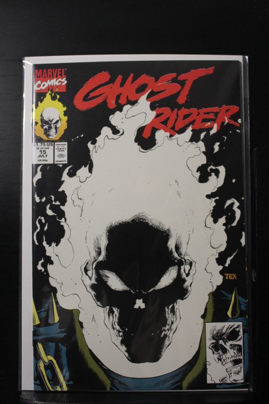 Ghost Rider #15 Gold Second Printing Variant (1991) | Comic Books ...