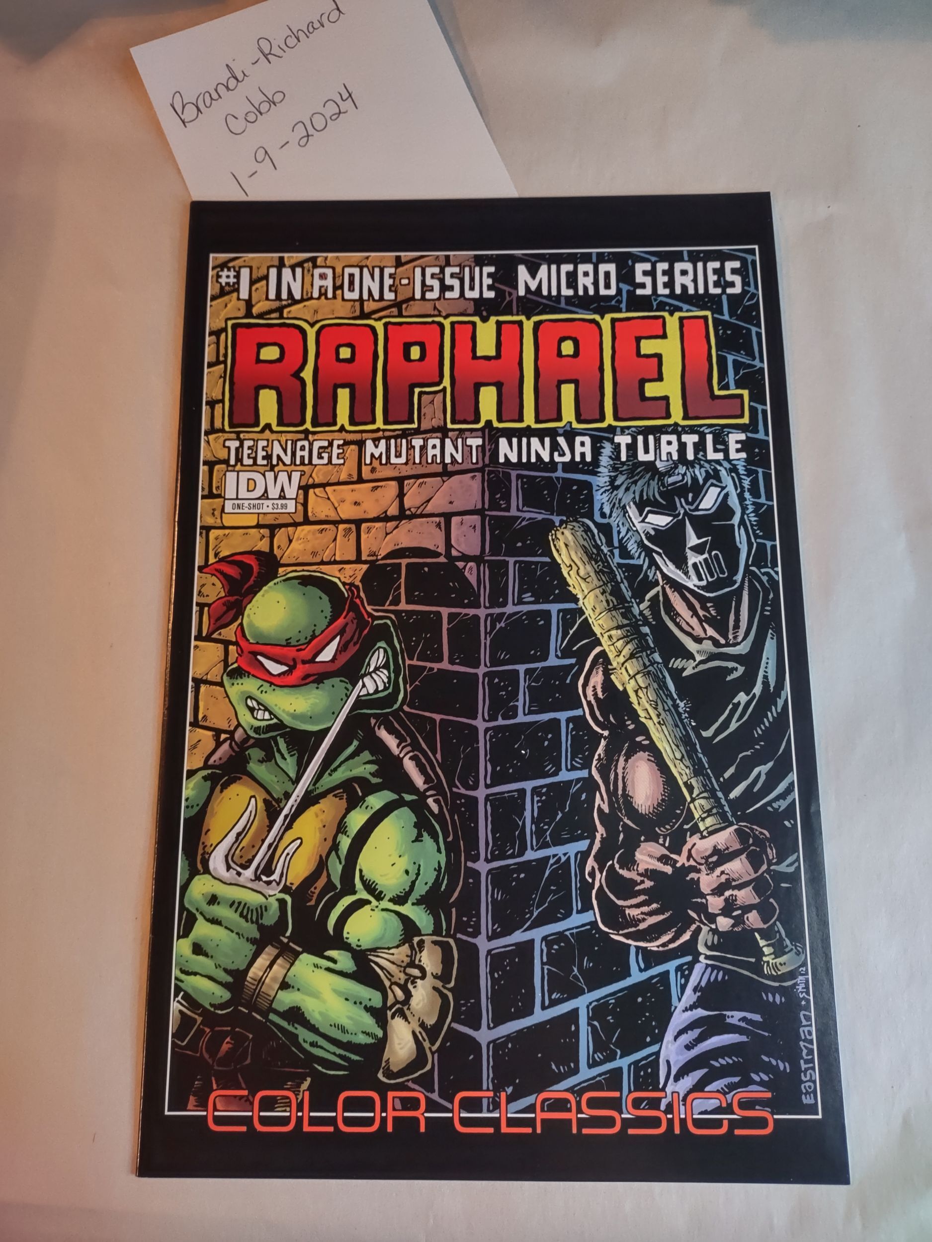 Teenage Mutant Ninja Turtles Color Classics Micro Series: Raphael (2012 ...
