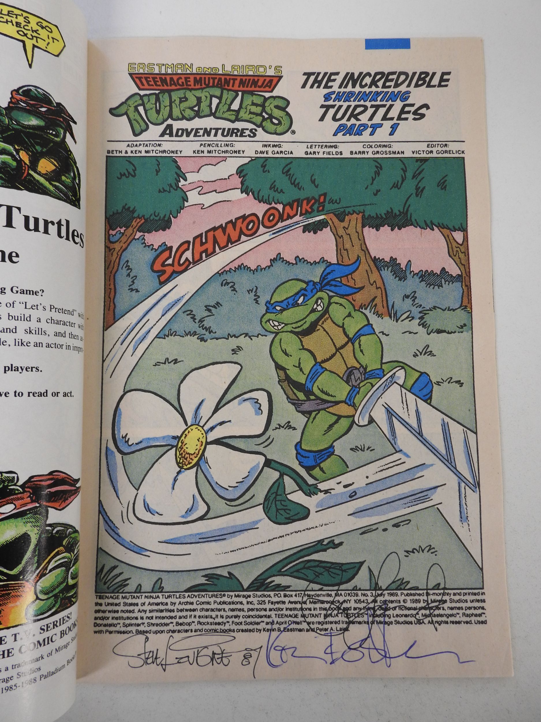 Teenage Mutant Ninja Turtles Adventures #3 (1989) VF- Condition! Signed ...