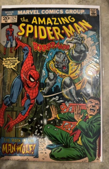 The Amazing Spider-Man #124 (1973) Spider-Man | Comic Books - Bronze ...