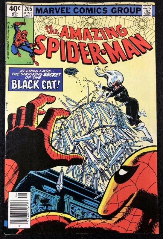 Amazing Spider-Man (1963) #205 VF- (7.5) Early Black Cat cover | Comic ...