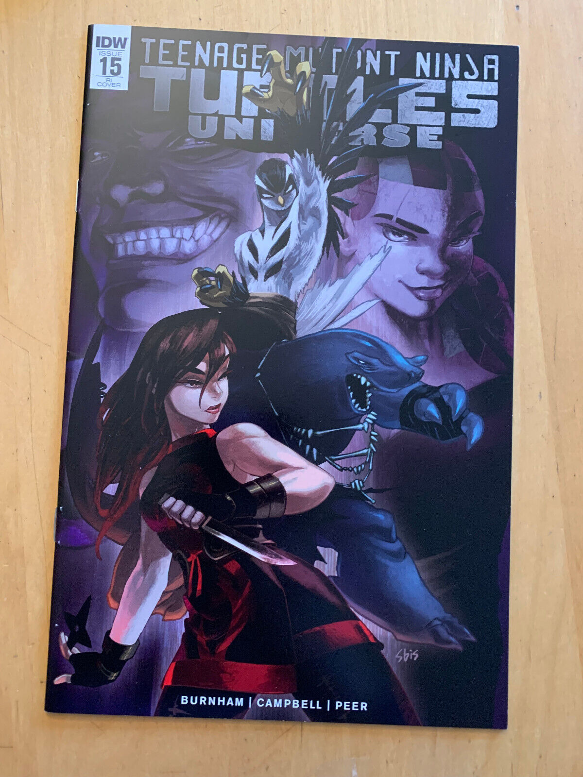 Teenage Mutant Ninja Turtles Universe 15, RI Cover, Idw, *RA | Comic ...