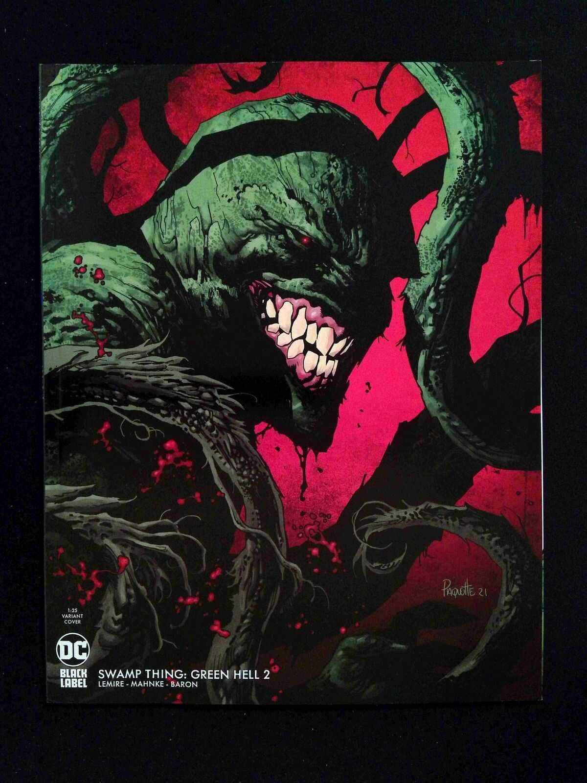 Swamp Thing Green Hell #2C DC Comics 2023 NM+ PAQUETTE VARIANT | Comic ...