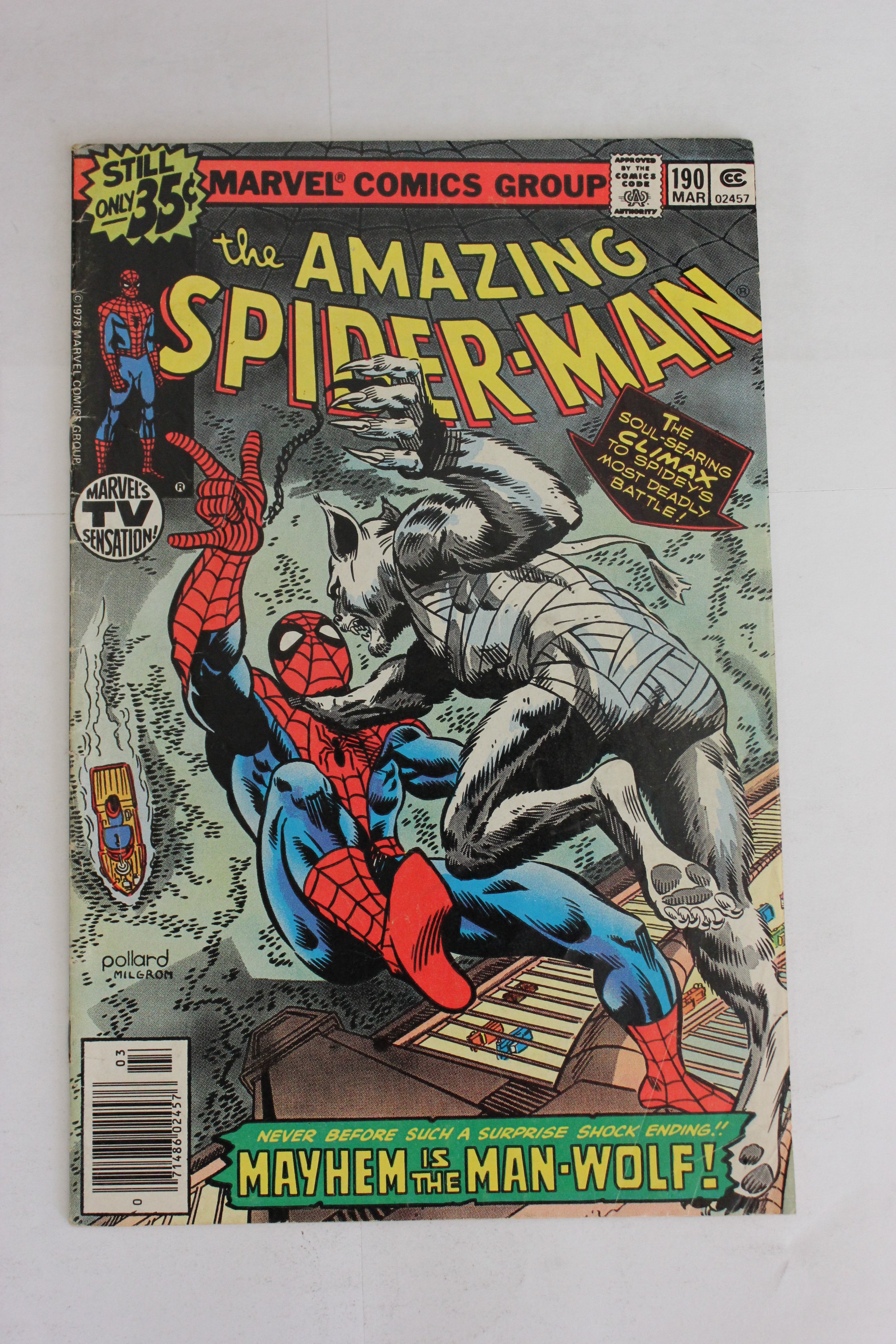 The Amazing Spider-Man #190 (1979) Spider-Man FN | Comic Books - Bronze ...