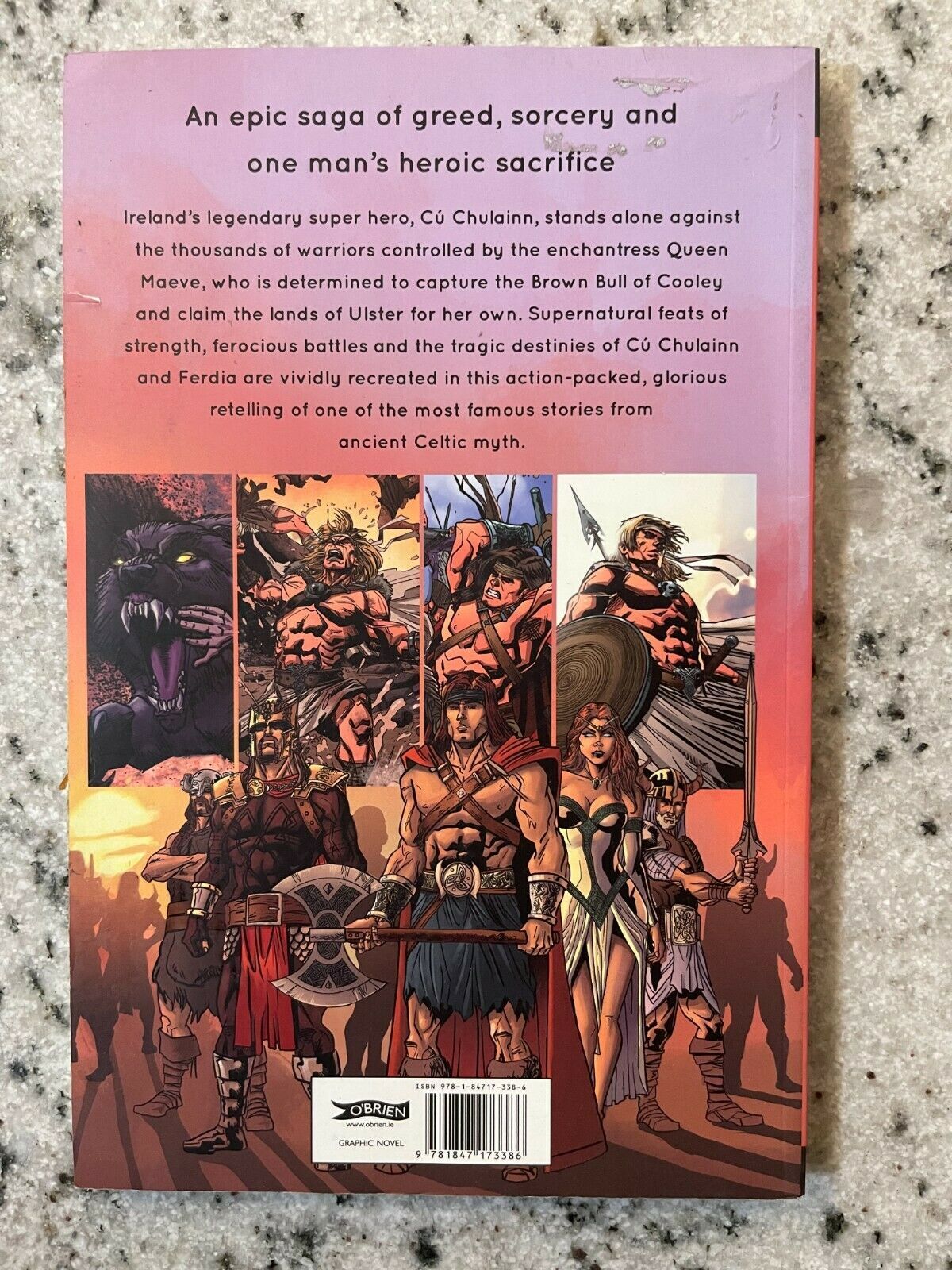 Celtic Warrior Legend Of Cu Chulainn O'Brien Graphic Novel Comic Book ...