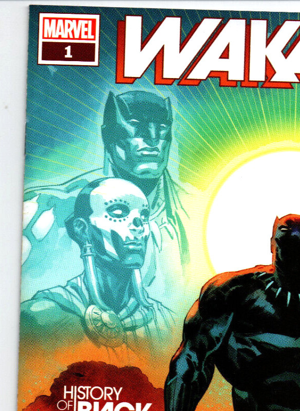 Wakanda #1 - 1:25 Klein History of the Black Panthers Variant - 2022 ...