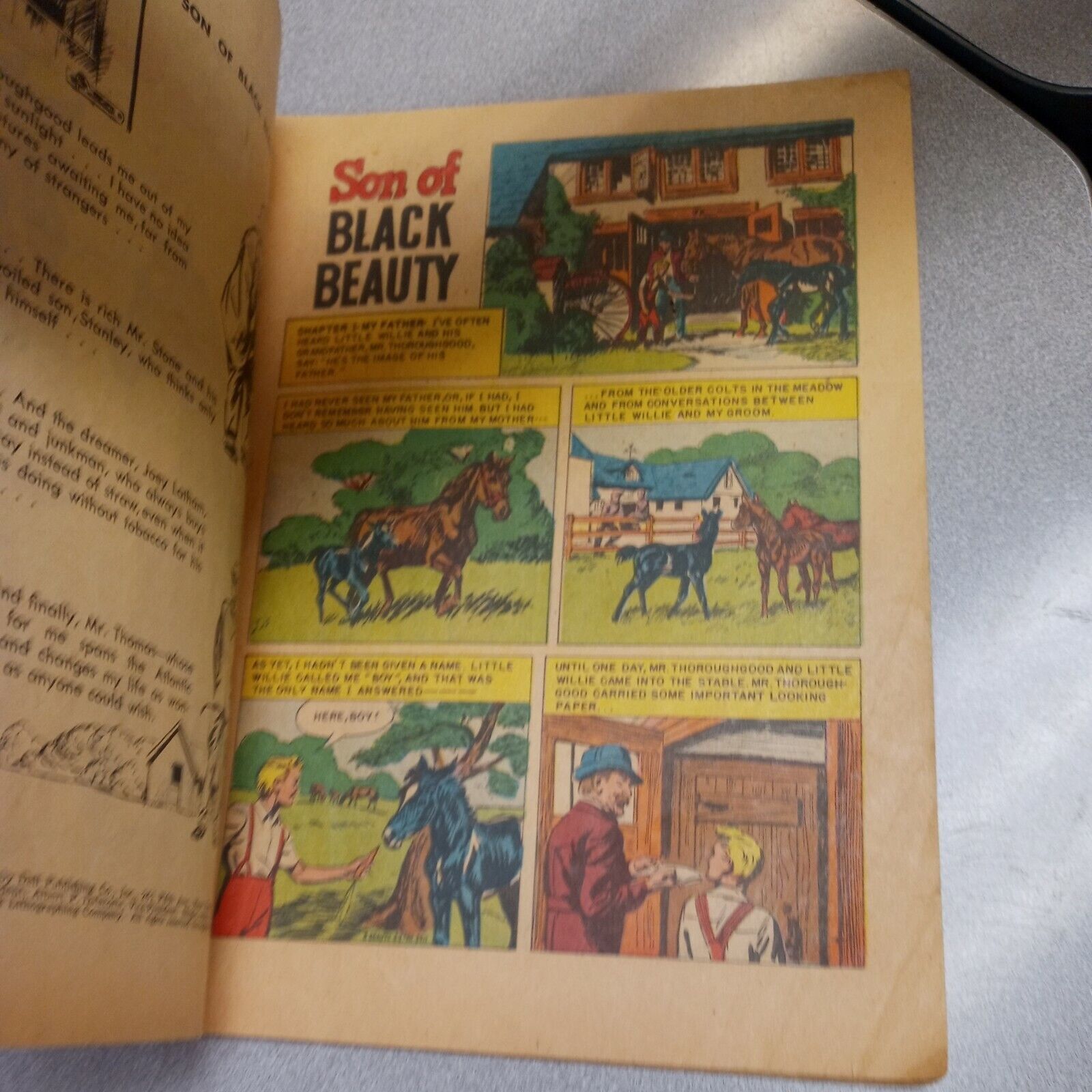 Dell Comics Son Of Black Beauty #510! Golden Age 1953 Four Color ...