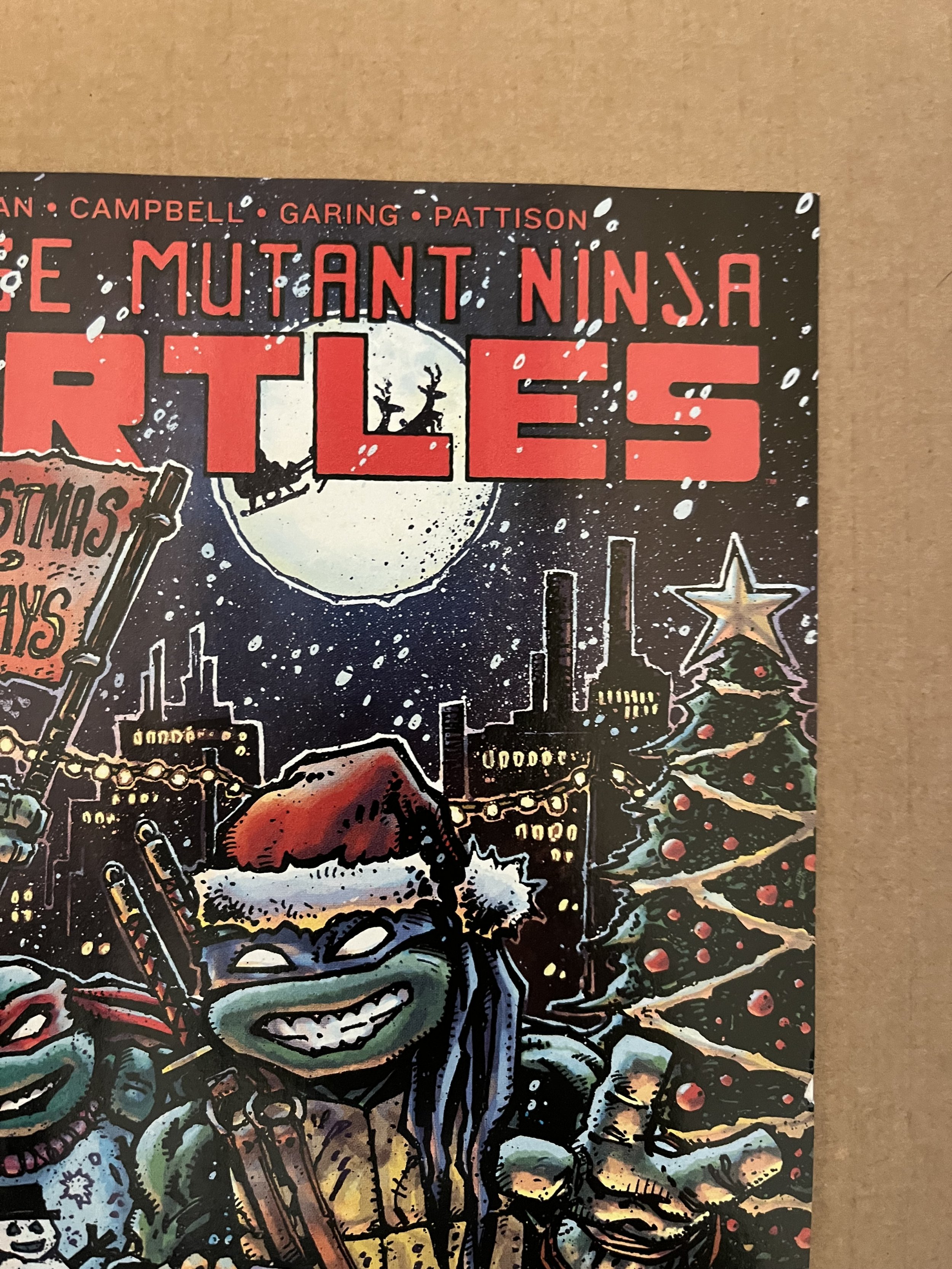 Teenage Mutant Ninja Turtles # 124 NM Eastman RI Christmas Var HTF ...